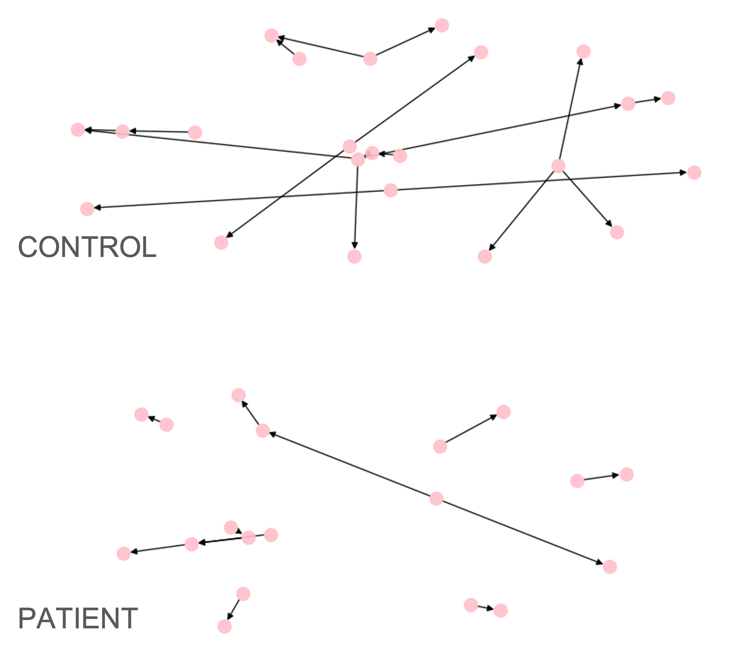 How To Analyse Semantic Speech Networks Caroline Nettekoven