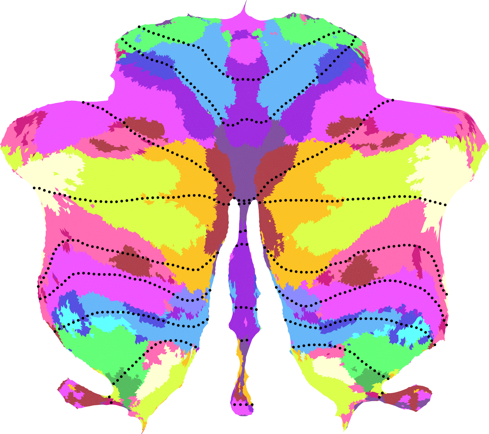 A hierarchical atlas of the human cerebellum for functional precision ...